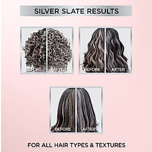 L'Oreal Paris Le Color Gloss One Step Toning Gloss, In-Shower Hair Toner with Deep Conditioning Treatment Formula for Gray Hair, Silver Slate, 1 Kit