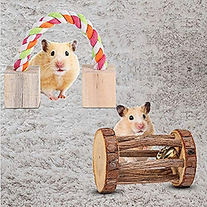 Hamster Toys, Natural Wooden Chew Playing Toy with Dumbbells Bell Roller Seesaw for Guinea Pig Chinchilla Parrot Rat Bunny to Playing and Protecting Teeth