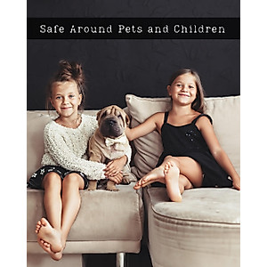 Santal Perfume Roll On with Pure Organic Jojoba Oil, Alcohol Free, Eau de Toilette, Made in California 33