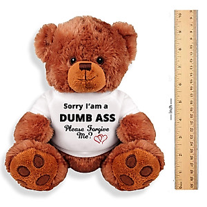 Sorry and Forgive Me Gift: Funny Teddy Bear Couple Gift: Medium Teddy Bear Stuffed Animal