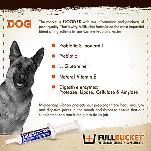 FullBucket Canine Probiotic Paste for Dogs with 12.5 Billion Probiotic CFUs, Enzymes, Prebiotics and L-Glutamine for Urgent Care, 32.5 mL Tube