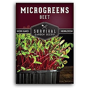 Survival Garden Seeds Beet Microgreens for Sprouting and Growing - Seed to Sprout Green Leafy Micro Vegetable Plants Indoors - Grow Your Own Mini Windowsill Garden - Non-GMO Heirloom Variety