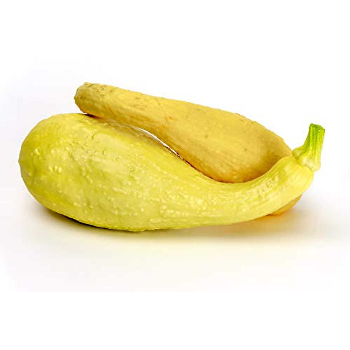 Crookneck Summer Squash Seeds for Planting, 30+ Heirloom Seeds Per Packet, (Isla's Garden Seeds), Non GMO Seeds, Botanical Name: Cucurbita moschata, Great Home Garden Gift