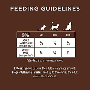 Instinct Original Grain Free Recipe with Real Rabbit Natural Dry Cat Food, 10 lb. Bag