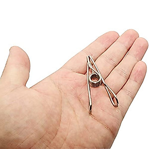 QingLHC Clothes Pegs Metal, Clothes Pins and Hooks Stainless Steel for Home Office Baby Kitchen Travel, Silver, LHC027
