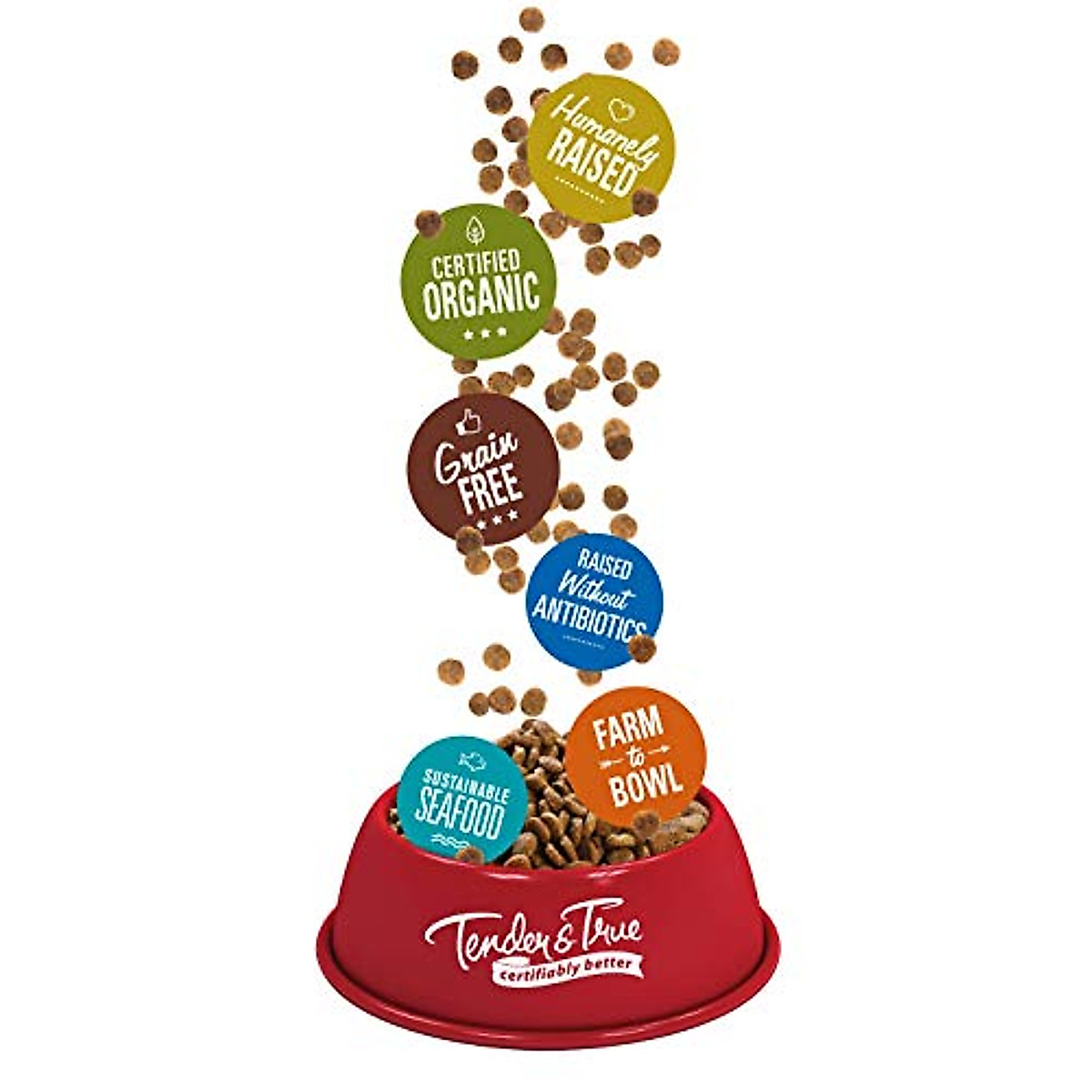 Tender & True Antibiotic-Free Turkey & Brown Rice Recipe Cat Food, 3 Pound(Pack of 1)