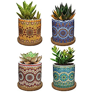 Lewondr 4 Pack Succulent Plant Pots, 2.8 Inch Ceramic Mini Flower Pots Planter with Bamboo Tray for Small Plants Flowers Cactus, Home Decorations Décor - Mandala, Colorful
