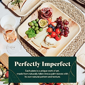 Chic Leaf Compostable & Biodegradable Palm Leaf Disposable Bamboo Plates - Disposable Party Plates for Appetizers (1, 7'' (Pack of 50))