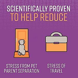 SENTRY PET Care Sentry Calming Spray for Dogs, Uses Pheromones to Reduce Stress, Easy Spray Application, Helps Dogs with Separation, Travel, Loud Noises, and Anxiety, Packaging May Vary