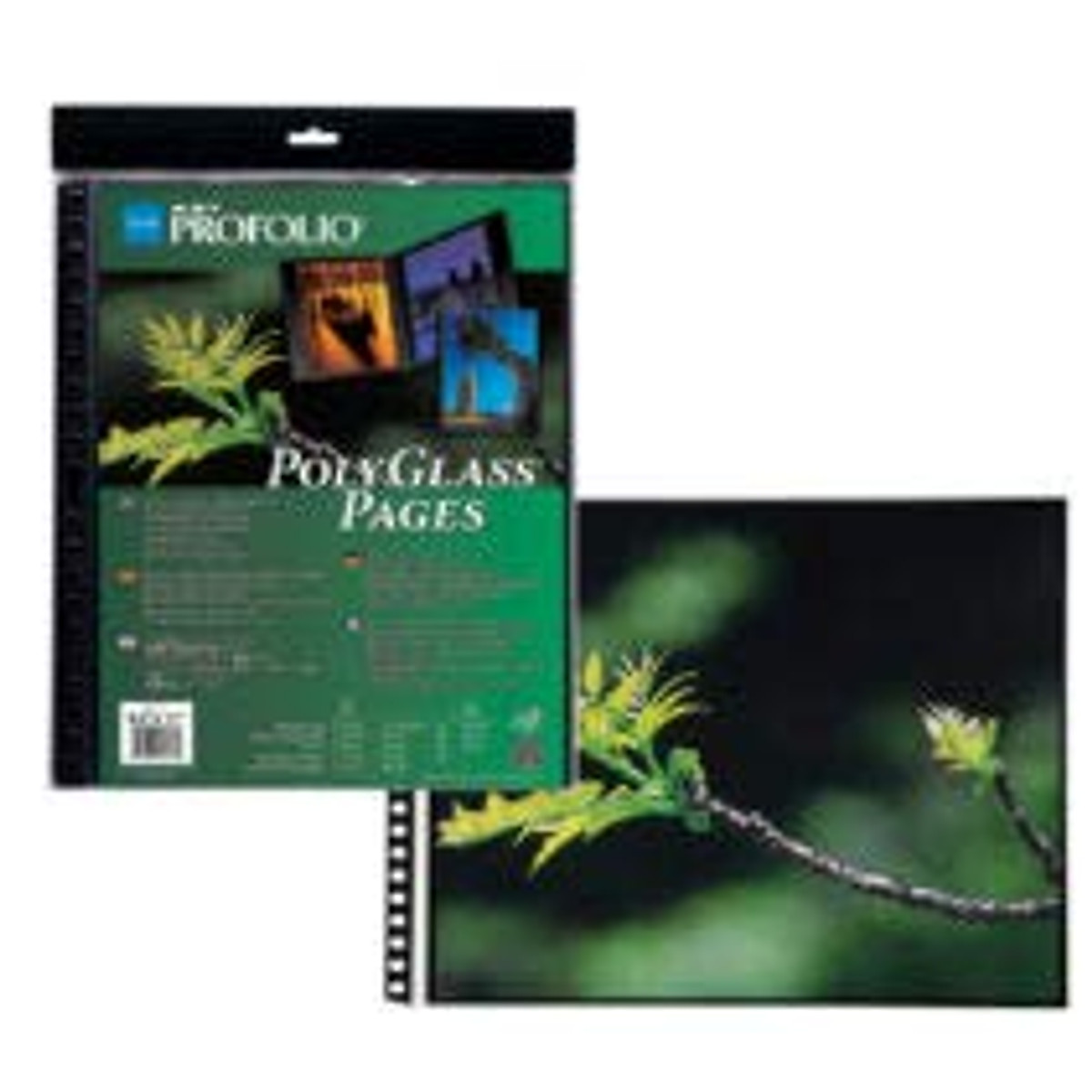 ProFolio by Itoya, Art ProFolio PolyGlass, 10-Pack Multi-Ring Binder Refill Pages - Portrait, 8.5 x 11 Inches