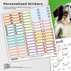 The Beauty of Australian Shepherds | 2024 12 x 24 Inch Monthly Square Wall Calendar | Sticker Sheet | StarGifts | Animals Dog Breeds