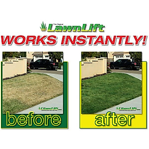 1 gallon pre-mixed, ready to use lawn paint. Includes trigger sprayer and 35" hose for easier application.