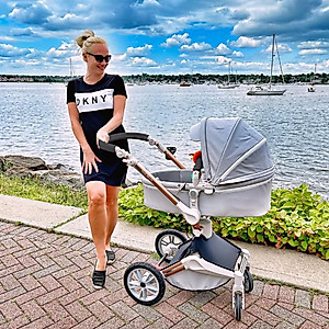 Hot Mom Baby Stroller 360 Rotation Function,Hot Mom Baby Carriage Pu Leather Pushchair Pram,F023 (Grey)