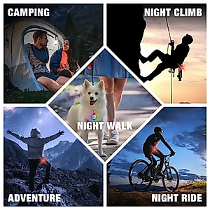 Dog Collar Light, USB-C Rechargeable Dog Lights for Night Walking, 4 Modes Dog Light Contain RGB Color Changing/Red/2 White, IP68 Waterproof Dog Walking Light with Silicone Band & Round Clip (2 Pack)