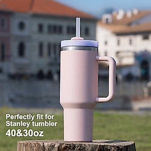 CXLL 6 Pcs Replacement Straw for Stanley Adventure Quencher 40 oz 30 oz Cup Tumbler,Straws with Cleaning Brush for Stanley Accessories