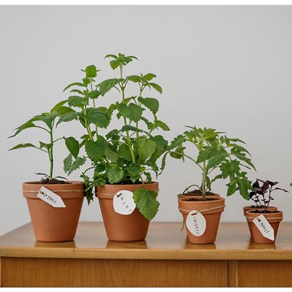 BUTIYOU P15 Label Maker with Tape,Mini Portable Bluetooth Thermal Printer,Multi Creative Label Templates Available for Phone,Easy-Used Office Home Industry Organization USB Rechargeable (White)