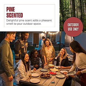 Coleman Scented Outdoor Citronella Candle with Wooden Crackle Wick - 6 oz