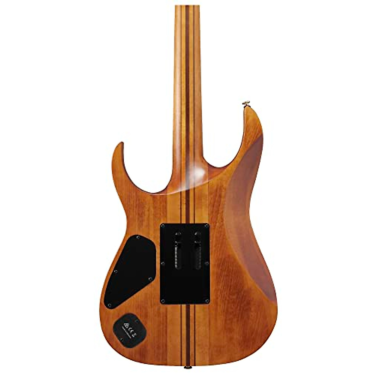 Ibanez Premium RGT1220PB Electric Guitar - Antique Brown Stained