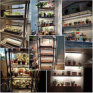 T5 Grow Lights 1.4Ft, 5000K White Full Spectrum LED Plant Growing Lamp Strips for Indoor Plants, Seeds Starting, Succulents, High PPFD with V-Shaped Reflector