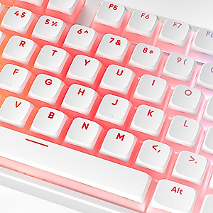 Ussixchare PBT Pudding Keycaps Set 117 Keys, Double Shot Translucent XDA Profile for ISO & ANSI Layout 61/68/84/87/104 Keys Mechanical Keyboard