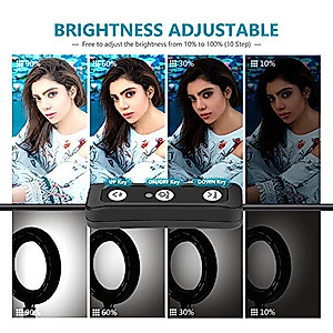 Neewer Video Conference Lighting Kit for Zoom Call Meeting/Self Broadcasting/Remote Working/YouTube/TikTok Video/Live Streaming: 2-Pack 6-inch Dimmable LED Ring Light with Tripod Stand & Color Filter