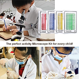 48PCS Kids Plastic Prepared Slides for Microscope of Animals Insects Plants Flowers Sample Specimens for Basic Biological Science Education #81053