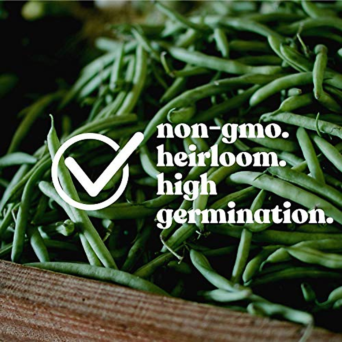 California Black-Eye Bush Beans - 30 g Packet ~100 Seeds - Non-GMO, Heirloom - Black-Eyed Peas (Cowpeas) - Vegetable Garden Seeds