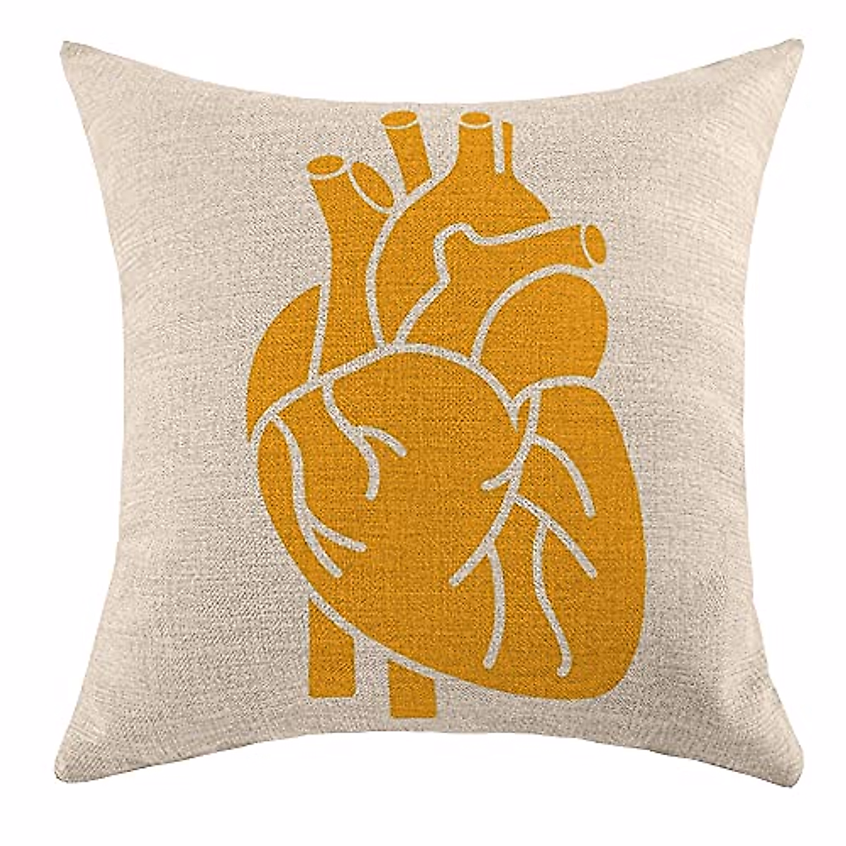Aiiwdito Throw Pillow Cover Decorative Square Pillowcase Anatomical Heart Internal Organ Human People Cardiology Anatomy Medicine Artery Vascular Disease Cushion Case for Sofa Bedroom Car 16x16 Inch