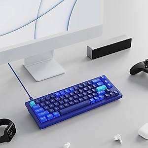 Keychron Q2 Wired Custom Mechanical Keyboard, QMK/VIA Programmable Macro, Full Aluminum, Hot-Swappable Gateron G Pro Brown Switch, 65% Layout Double Gasket Compatible with Mac and Windows - Blue