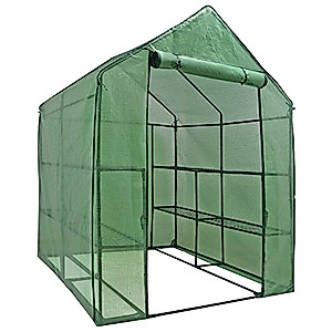 BBBuy 2-Tier Mini Greenhouse 8 Shelves Garden Plant Flower House Grow Tent Indoor Outdoor with PE Cover and Roll-Up Zipper Door Greenhouse, Grow Plant Herbs Flowers Warm House