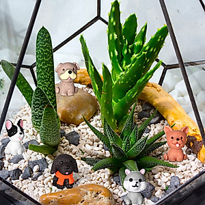 Marsui 40 Pieces Mini Dog Figurines Playset Realistic Detailed Toy Dogs Little Puppy Figures Educational Dogs Animals Toys for Birthday Christmas Easter Cake Topper Decorations