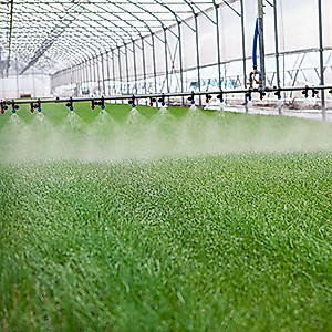 Sunmns 20 Pack Brass Misting Nozzles for Outdoor Cooling System and Dust Control, 0.012 Inch Hole (0.3 mm) 10/24 UNC