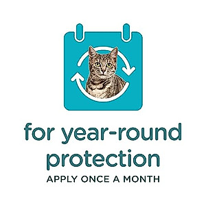 Sergeant's Guardian Flea & Tick Squeeze On Topical Cats 6lbs and Over., 3 Count