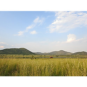 Nikon Coolpix P900 Super Zoom Camera - New