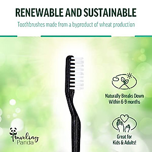 Traveling Panda Wheat Straw Toothbrushes Bulk, Soft Bristles Toothbrush with Toothpaste Built in, Travel Toothbrush Kit, Essentials for on The Go Teeth Brushing, 25 Mini Brushes