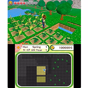 Harvest Moon Skytree Village (Nintendo 3DS)