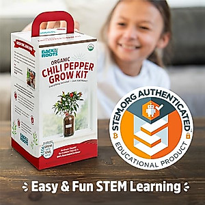 Back to the Roots Non-GMO Chili Planter, Grow Organic Chili Peppers Year Round, Windowsill Grow Kit, Top Gardening Gift, Holiday Gift, & Unique Gift