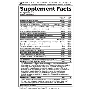 Garden of Life Multivitamin for Men, Vitamin Code Raw One - Once Daily, Vitamins Plus Fruit, Veggies & Probiotics, 75 Count