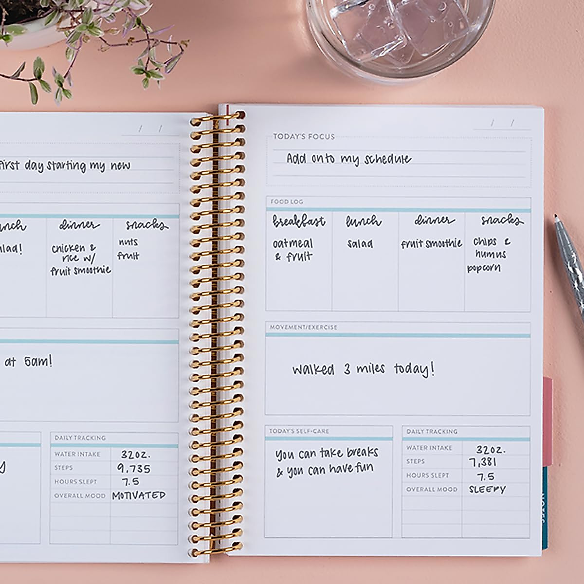 A5 Spiral - Bound Wellness Planner. 3 Months of Planning Pages. Daily Food, Movement, and Self-Care Trackers. Reflection and Celebration Pages. 6 Tabs. Sticker Sheet Included by Erin Condren.