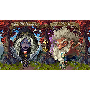 Battle Axe (Nintendo Switch)