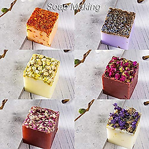 Dried Flowers, 18 Pack Natural Dried Flower Herbs Kit for Bath, Bomb, Soap, Resin, Candle Making, Include Rose Petals, Rosebuds, Lavender, Jasmine Flowers, Lily, Lemon Slice and More