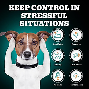 Dog Calming Chews | Calming Care for Dogs | Puppy Calming | Calm Chews for Dogs | Puppy Calming Chews | Calming Chews for Dogs | 240 Chews