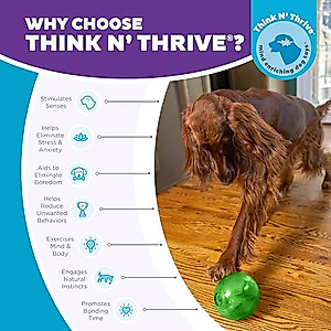 Outward Hound Mazee Puzzle Ball Interactive Treat Dispensing Dog Toy, Green