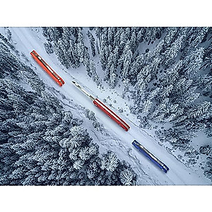 Spyderco Roadie Non-Locking Lightweight Knife with 2.09" N690Co Stainless Steel Blade and Durable Blue FRN Handle - PlainEdge -C189PBL