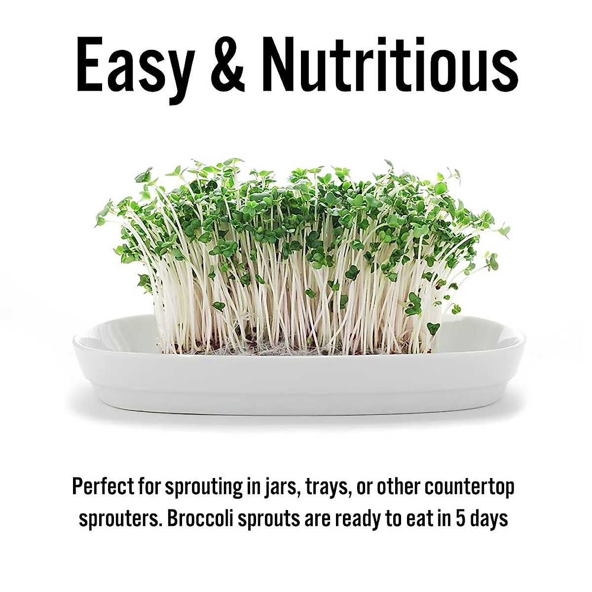 1 lb Broccoli Sprouting Seeds - Perfect for Sprouting & Microgreens, Rich in Sulforaphane, USA Grown (Resealable Bag)
