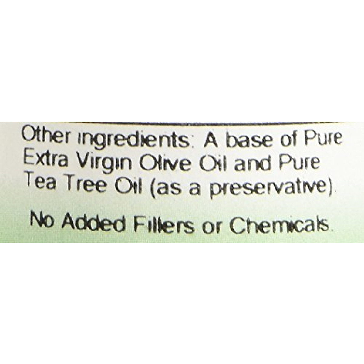 Dr. Christopher's Original Formulas Oil of Garlic 2 Oz