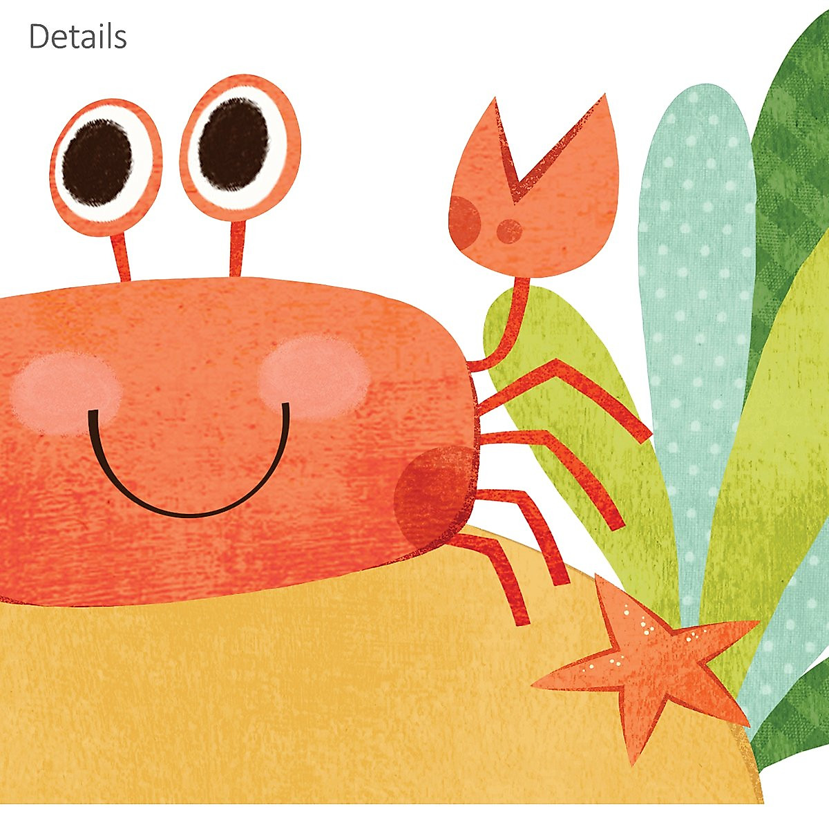 DECOWALL DS8-1611 Sea Adventure Kids Wall Stickers Wall Decals Peel and Stick Removable Wall Stickers for Kids Nursery Bedroom Living Room d?cor