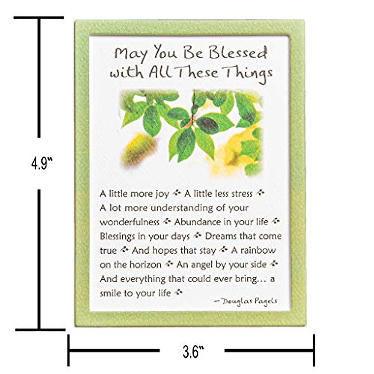 Blue Mountain Arts Encouragement Magnet with Easel Back—Birthday, Wishing You Well, or Just Because Gift by Douglas Pagels, 4.9 x 3.6 Inches (May You Be Blessed with All These Things)