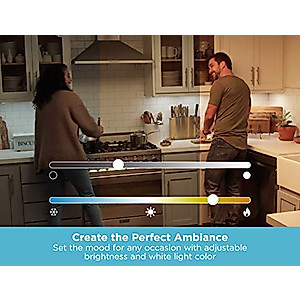 BLACK+DECKER Works with Alexa Smart Under Cabinet Lighting, Adjustable LEDs, 18" Bar, White