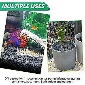 Succulent Rocks for Plants Tiny Pebbles for Planters 4.8LB Pea Gravel Bulk Polished Course Sand Soil Small Decorative Stones for Indoor Bonsai Pots Cactus Top Dressing Aquarium Garden Landscape, Black